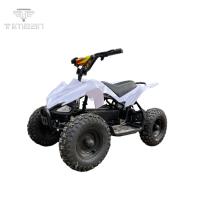 China Scooter Rossi 50 124.6cm³ 4-Stroke Engine with 45km/h Speed and 169kg Load Capacity for sale