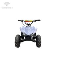 China Scooter Rossi 50 124.6cm³ 4-Stroke Engine with 45km/h Speed and 169kg Load Capacity for sale