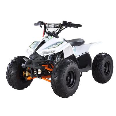 China 2024 Youth Mini ATV Quad Bike with 49cc to 150cc 4-Stroke Engine and Semi-Automatic Transmission for Off-Road Use for sale