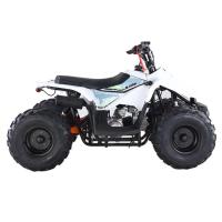 China 2024 Youth Mini ATV Quad Bike with 49cc to 150cc 4-Stroke Engine and Semi-Automatic Transmission for Off-Road Use for sale