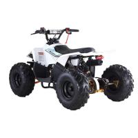 China 2024 Youth Mini ATV Quad Bike with 49cc to 150cc 4-Stroke Engine and Semi-Automatic Transmission for Off-Road Use for sale