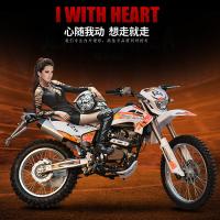 China 2024 Off-Road Motorcycle 250cc Dirt Bike with 930mm Seat Height and 135kg Weight for sale