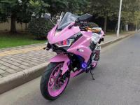 China Chinese Wiesen 350CC Electric Start Racing Sport Motorcycle 1500mm Wheelbase for sale