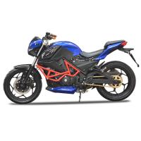 China 1420mm Wheelbase 250cc Dirt Bike for Adult Max Speed 160kmh Racing Motorcycle for sale