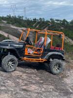 China 300cc Electric Gasoline ATV-TY 4WD Utility Vehicle with 200-300kg Payload and 50-75Km/h Speed for sale