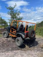 China 300cc Electric Gasoline ATV-TY 4WD Utility Vehicle with 200-300kg Payload and 50-75Km/h Speed for sale