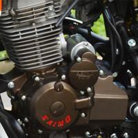 China 250cc Enduro Dirt Bike with 150cc Gasoline Engine - Off-Road Motorcycle for Teens and Adults for sale