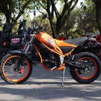 China 2024 Professional 250CC Gas Dirt Bike 4-Stroke Racing Motorcycle for Adults with High-Performance Engine for sale