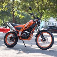 China 2024 Professional 250CC Gas Dirt Bike 4-Stroke Racing Motorcycle for Adults with High-Performance Engine for sale