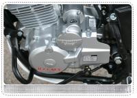 China 150cc & 250cc Pit Bike Dirt Bikes - 1980mm Length, 105KG Weight, 4-Stroke Engine for sale