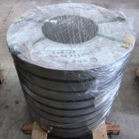 China Good Quanlity 304 2B No.1 2mm Thick Stainless Steel Strip for sale