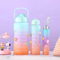 China 3-in-1 PE Water Bottle Set 2000ml 900ml 300ml BPA-Free Plastic Sports Bottles for sale