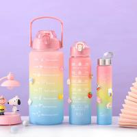 China 3-in-1 PE Water Bottle Set 2000ml 900ml 300ml BPA-Free Plastic Sports Bottles for sale