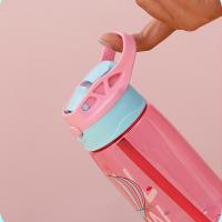China 480ml Children Cute Portable Leakproof Straight Drink Plastic Water Bottle With Straw for sale