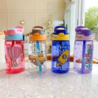 China Custom Logo 480ml Anti-Corrosion Coated Plastic Baby Drinking Water Bottle with Straws for sale