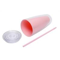 China 24oz BPA Free Double Wall Plastic Tumbler with Straw and Lid for Adults for sale