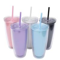 China Customized Logo 24oz Double Wall Clear Plastic Tumbler for Adults None Thermal Insulation for sale