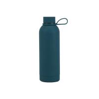 China 304 Stainless Steel Narrow Mouth Insulated Water Bottle 500ml with Handgrip for sale