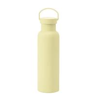 China Double Wall Stainless Steel Vacuum Bottle 600ml Insulated Travel Mug for Business Gifts for sale