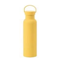 China Double Wall Stainless Steel Vacuum Bottle 600ml Insulated Travel Mug for Business Gifts for sale