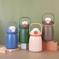 China Insulated Stainless Steel Water Bottle 800ml BPA-Free Vacuum Flask with Straw for sale