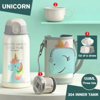 China 316 Stainless Steel 550ml Insulated Bottle with Straw Lid for Kids Camping for sale