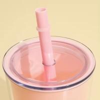 China 720ml Capacity Double Wall Plastic Water Bottle With Straw Large Capacity Beverage Cup for sale