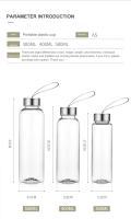 China BPA Free Plastic Water Bottle 300ml 400ml 600ml for Outdoor Sports Travel for sale