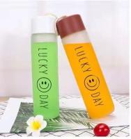 China Stocked 350ml Glass Water Bottle for Hiking Outdoor Activities Custom Logo Accepted for sale