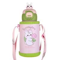 China 316 Stainless Steel Insulated Water Bottle 500ml Vacuum Travel Mug Custom Color for sale