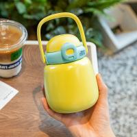 China 316 Stainless Steel Insulated Water Bottle 450ml Custom Logo Outdoor Travel Camping Hiking for sale