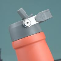 China Custom Logo Insulated Stainless Steel Hot Water Bottle 550ml 650ml 7 Colors for sale