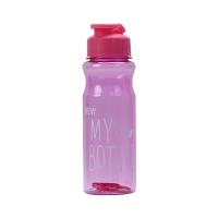 China BPA Free 550ml PET Plastic Water Bottle with Strap for Hiking Sports for sale