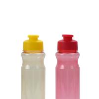 China BPA Free 550ml PET Plastic Water Bottle with Strap for Hiking Sports for sale