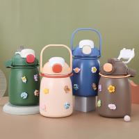 China 800ml Stainless Steel Water Bottle Insulated Vacuum Flask with Straw 316 Grade for sale