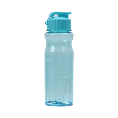 China PET Plastic Water Bottle 550ml with Strap Leak Proof Lock for Outdoor Sports Gift for sale