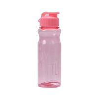China 550ml PET Plastic Water Bottle Custom Logo BPA Free with Leak Proof Lock Strap for sale