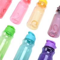China 550ml PET Plastic Water Bottle Custom Logo BPA Free with Leak Proof Lock Strap for sale
