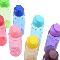 China 550ml PET Plastic Water Bottle Custom Logo BPA Free with Leak Proof Lock Strap for sale