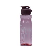 China 550ml PET Plastic Water Bottle Eco-Friendly Custom Logo Sports Hydration for sale