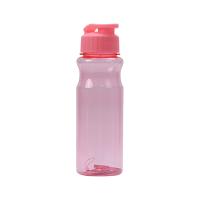 China Custom PET Plastic Water Bottle 550ml BPA Free Sport Cup with Leak Proof Lock for sale