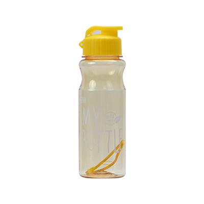 China 550ml PET BPA Free Plastic Water Bottle with Strap for Fitness Outdoor Sports for sale