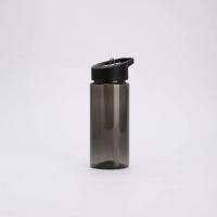 China Leak-proof and Infuser Design Transparent Summer Plastic Water Bottle with Straw for sale