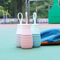 China 500ml Foldable Silicone Water Bottle Leakproof BPA Free 165g for Outdoor Travel for sale