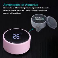 China Smart Digital Vacuum Insulated Stainless Steel Water Bottle 500ml Temperature Display for sale