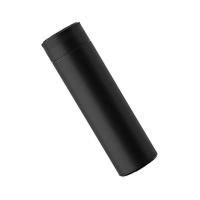 China 450ml Stainless Steel Smart Water Bottle with Temperature Display Skinny Tea Thermos for sale
