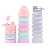 China Custom Logo 750ml Foldable Silicone Water Bottle BPA Free for Kids School Sports for sale