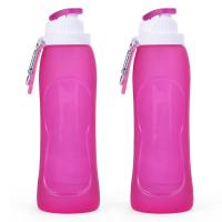China Anti-corrosion Coating Collapsible Silicone Water Bottle 500ml for Sport and Travel for sale
