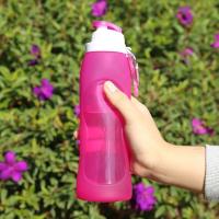China Anti-corrosion Coating Collapsible Silicone Water Bottle 500ml for Sport and Travel for sale