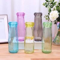 China 400ml Leak Proof Glass Water Bottle 7.5x21.8cm for Office Camping Sports for sale